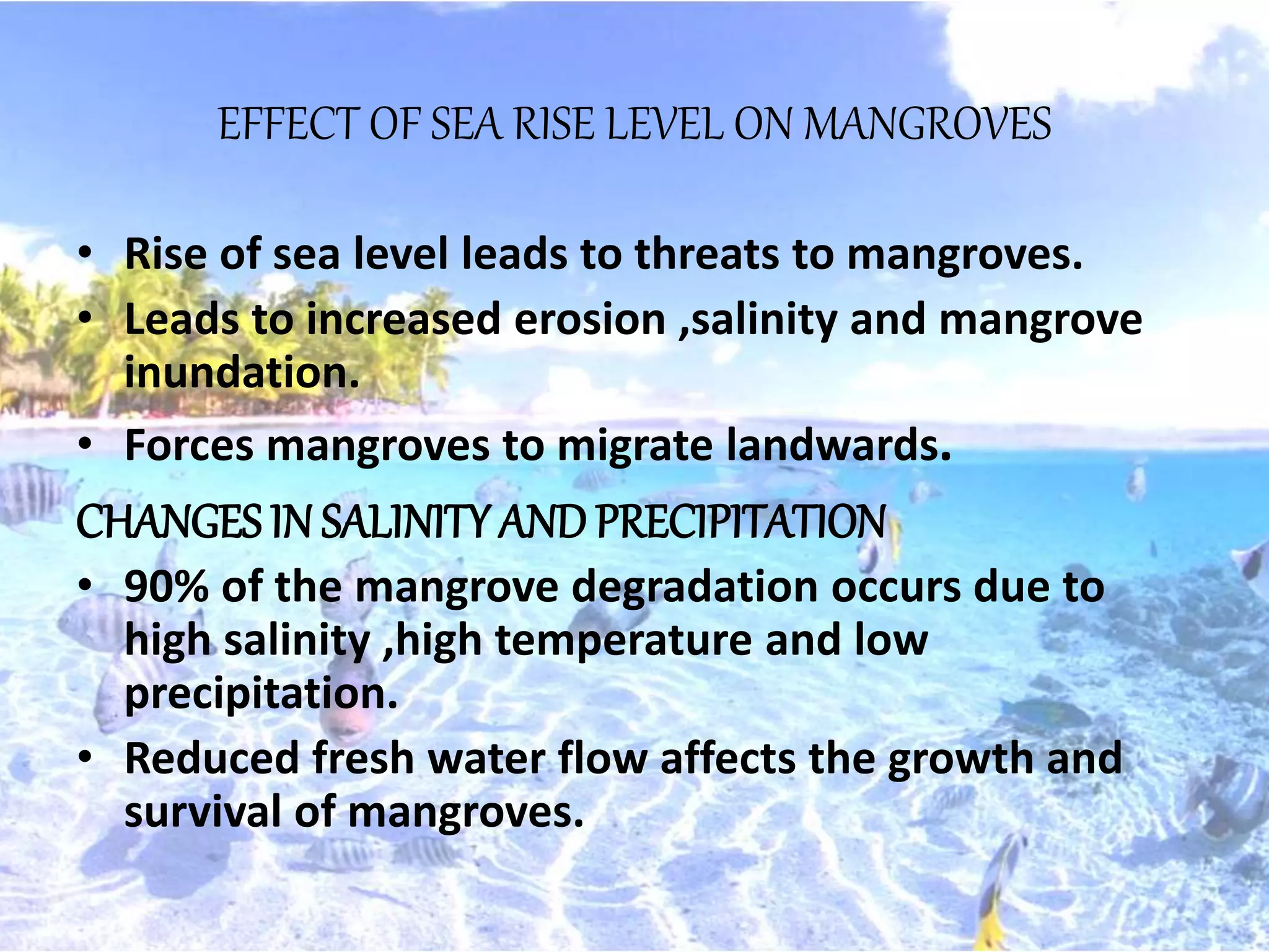 Marine and coastal ecosystems | PPTX