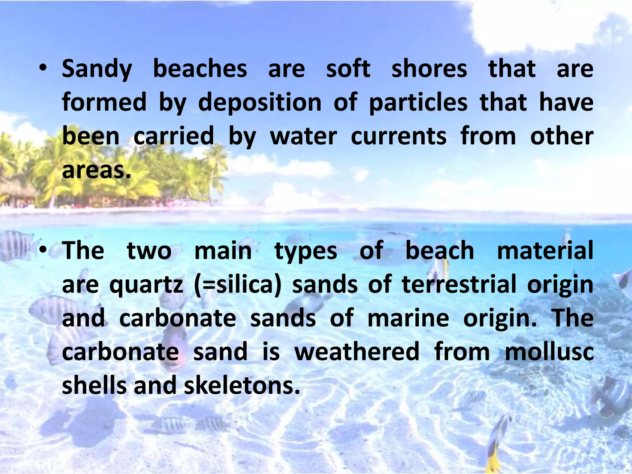 Marine and coastal ecosystems | PPTX