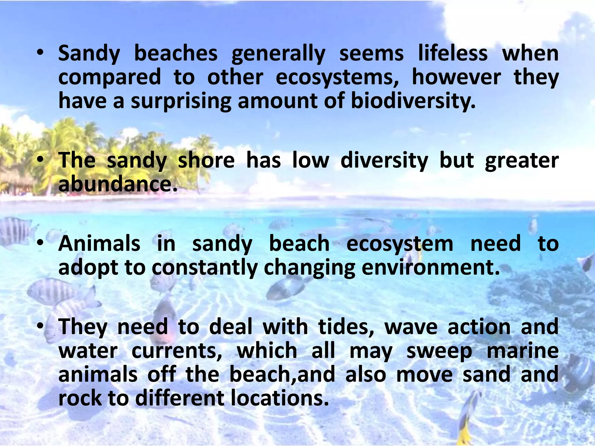 Marine and coastal ecosystems | PPTX