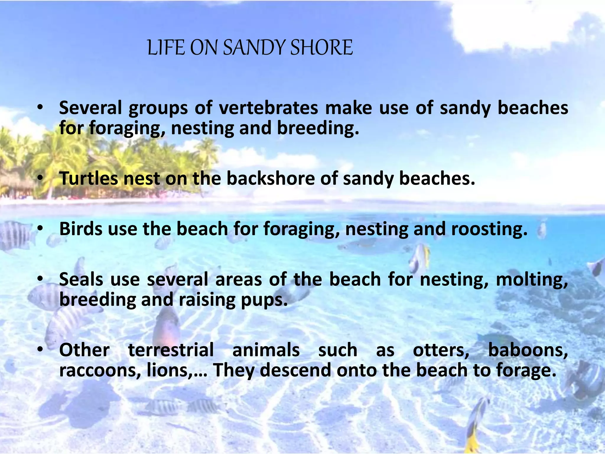 Marine and coastal ecosystems | PPTX