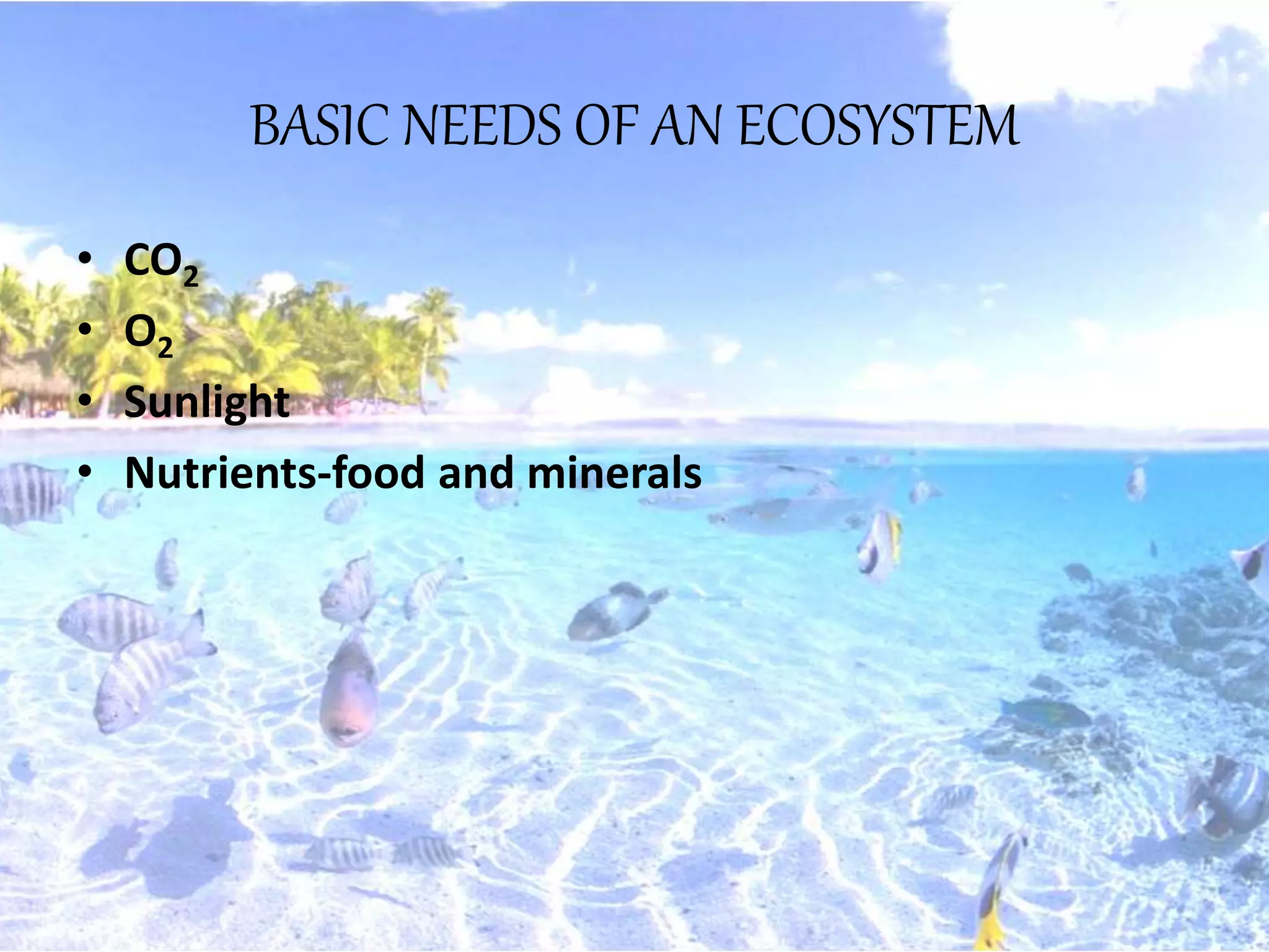 Marine and coastal ecosystems | PPTX