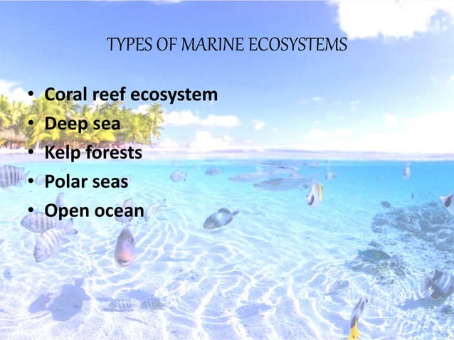 Marine and coastal ecosystems | PPTX