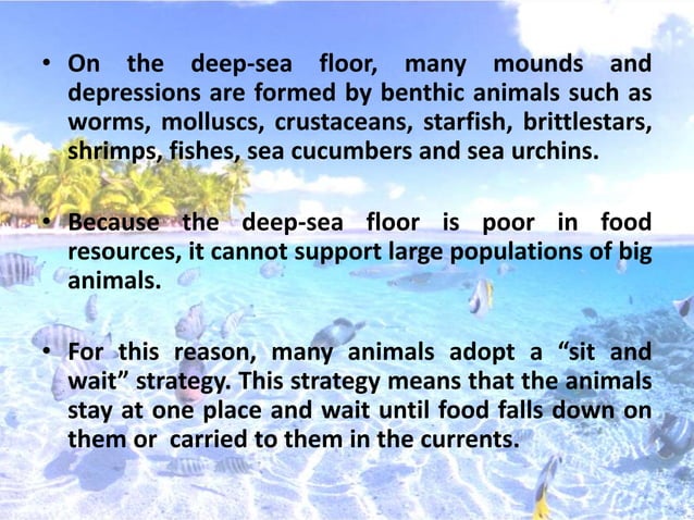 Marine and coastal ecosystems | PPTX