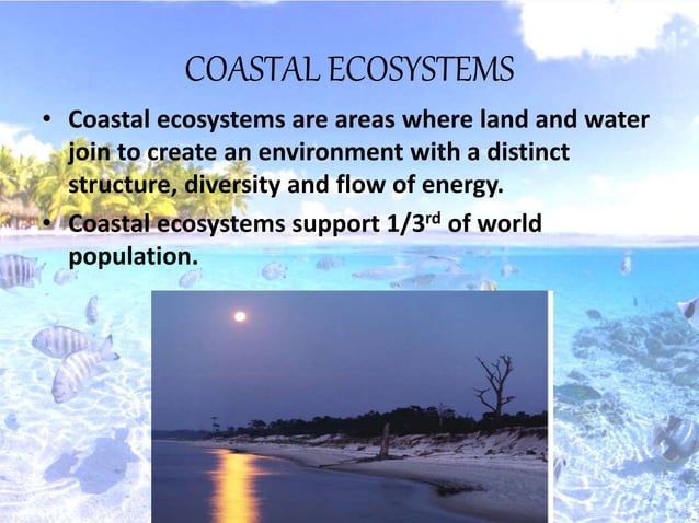 Marine and coastal ecosystems | PPTX