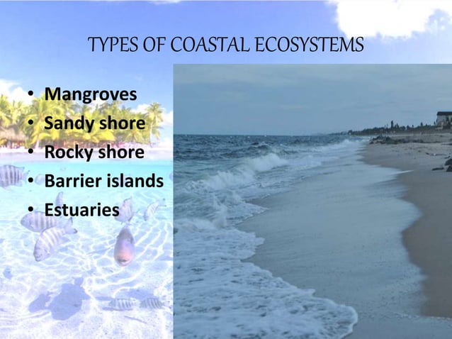 Marine and coastal ecosystems | PPTX