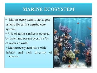 Marine and coastal ecosystems – overview.pptx