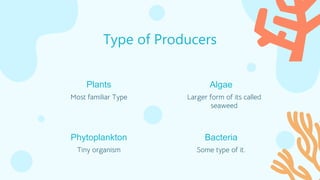 Marine and freshwater ecology understanding the complexities of food ...