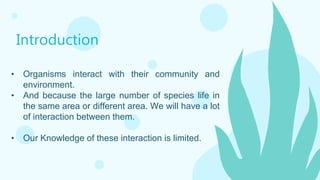 Marine and freshwater ecology understanding the complexities of food ...