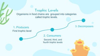 Marine and freshwater ecology understanding the complexities of food ...