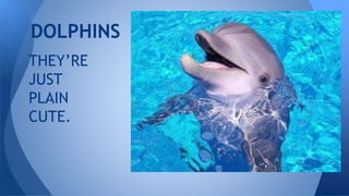 Marine animals | PPT