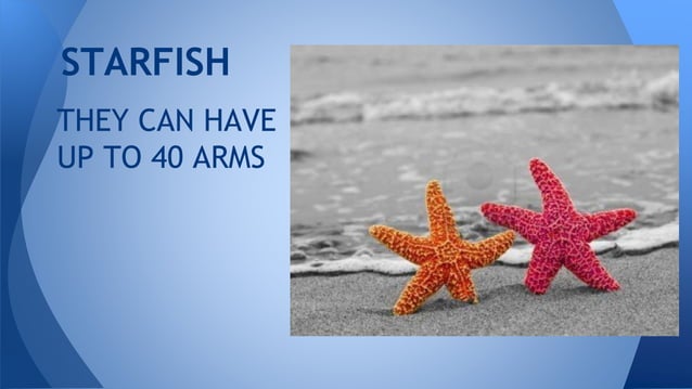 Marine animals | PPT