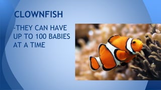 Marine animals | PPT