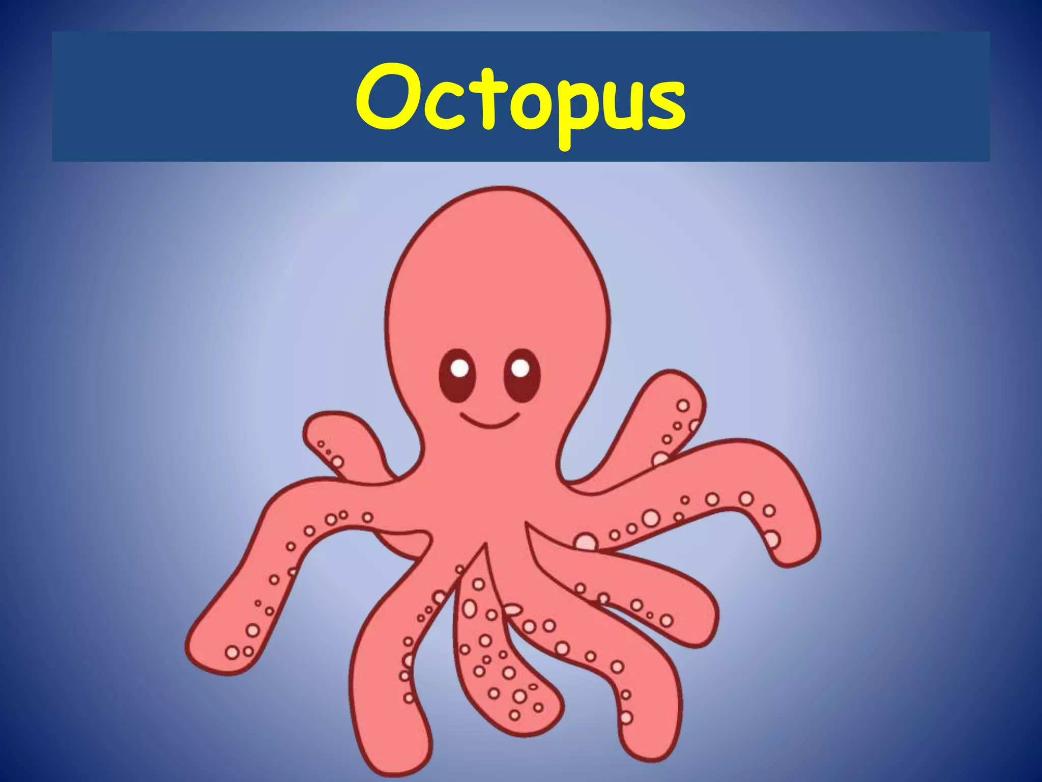 Marine animals | PPTX