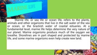 Marine Animals | PPTX