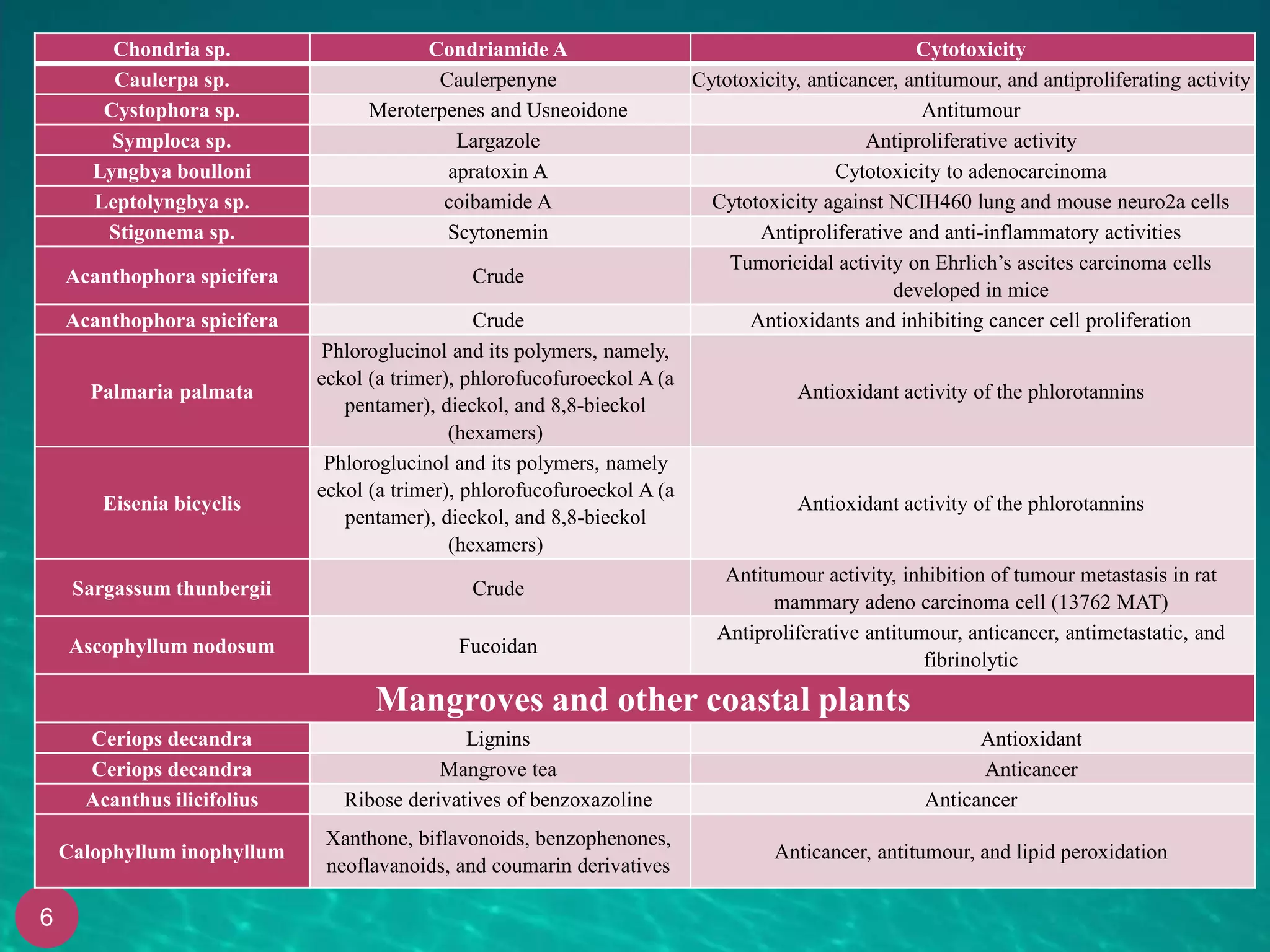 marine anticancer drugs'.pptx