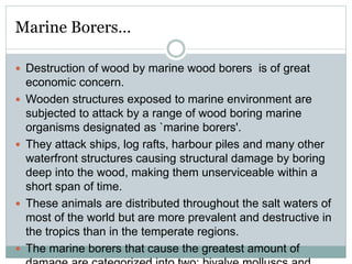 Marine bio deterioration | PPT