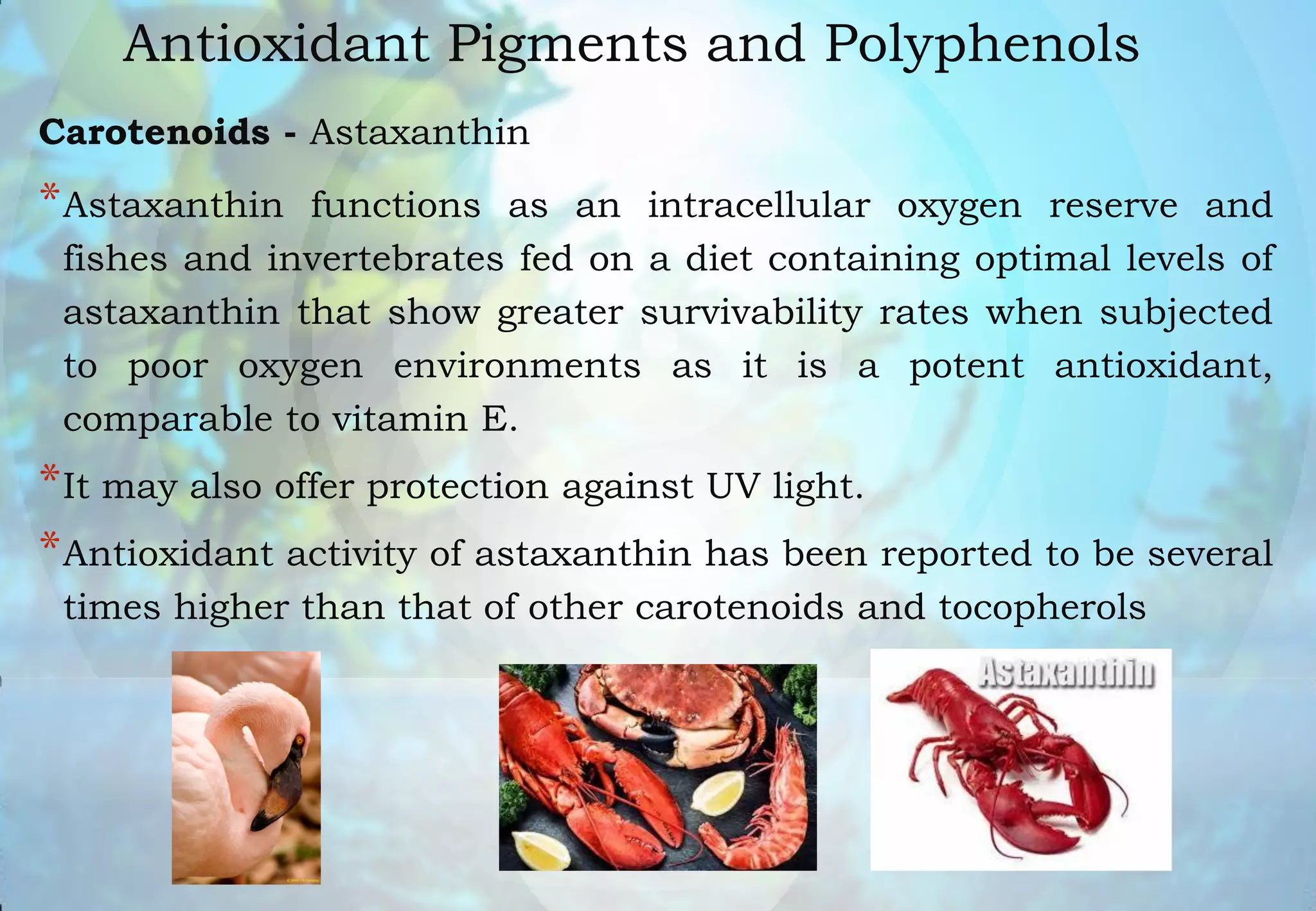 Marine bioactive compounds | PDF