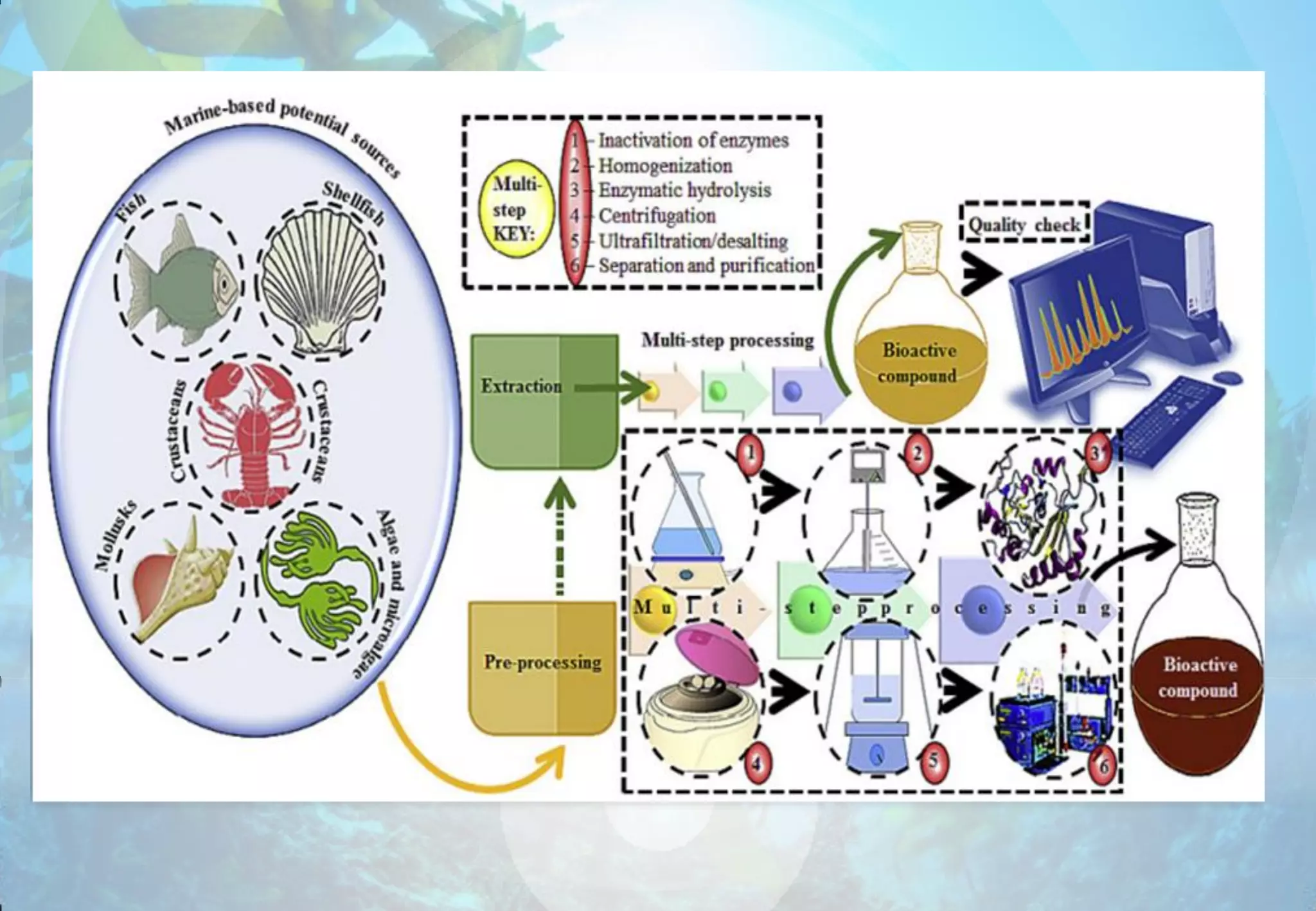 Marine bioactive compounds | PDF