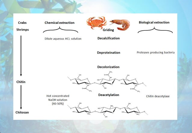 Marine bioactive compounds | PDF | Chemistry | Science