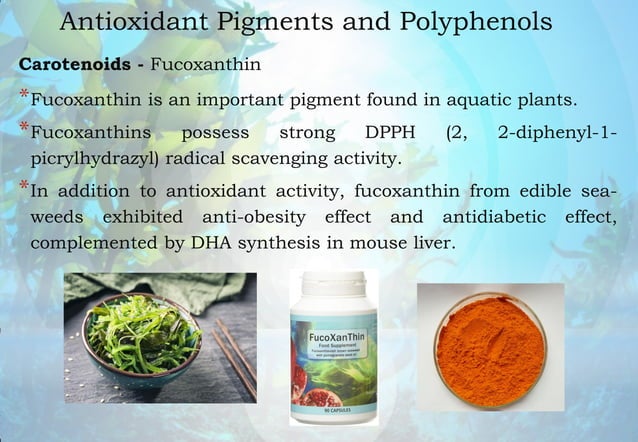 Marine bioactive compounds | PDF | Chemistry | Science