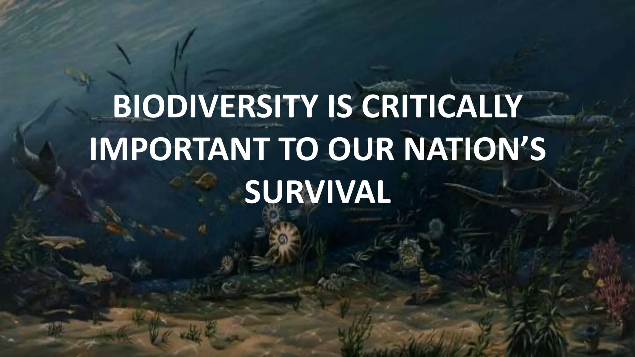 MARINE BIODIVERSITY presentation xx.pptx