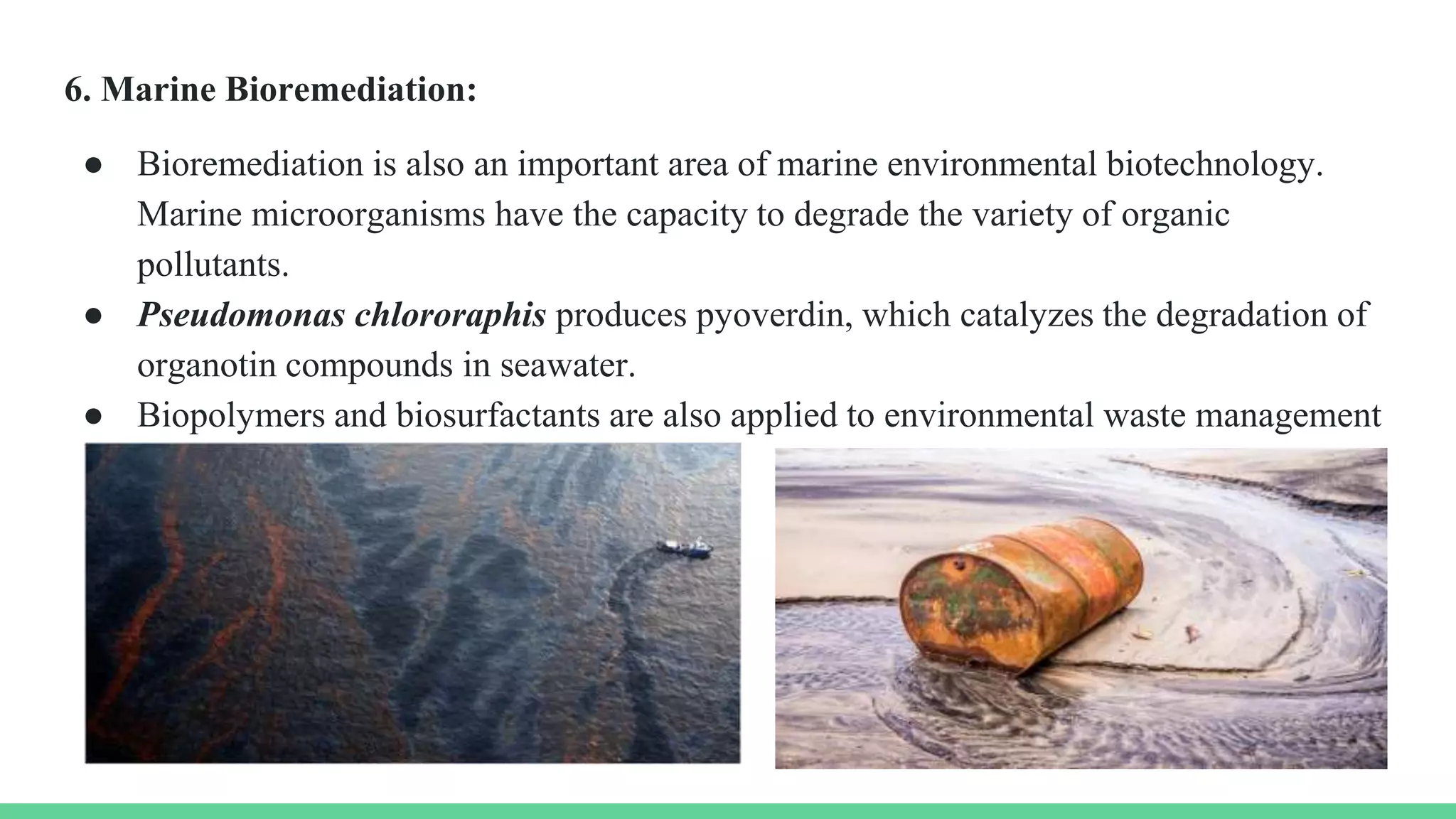 Marine Biotechnology.pptx