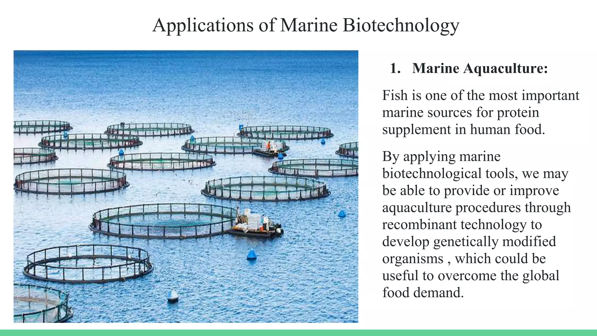 Marine Biotechnology.pptx