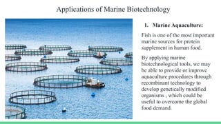 Marine Biotechnology.pptx
