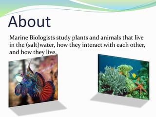 Jessica P - Marine biologist | PPT