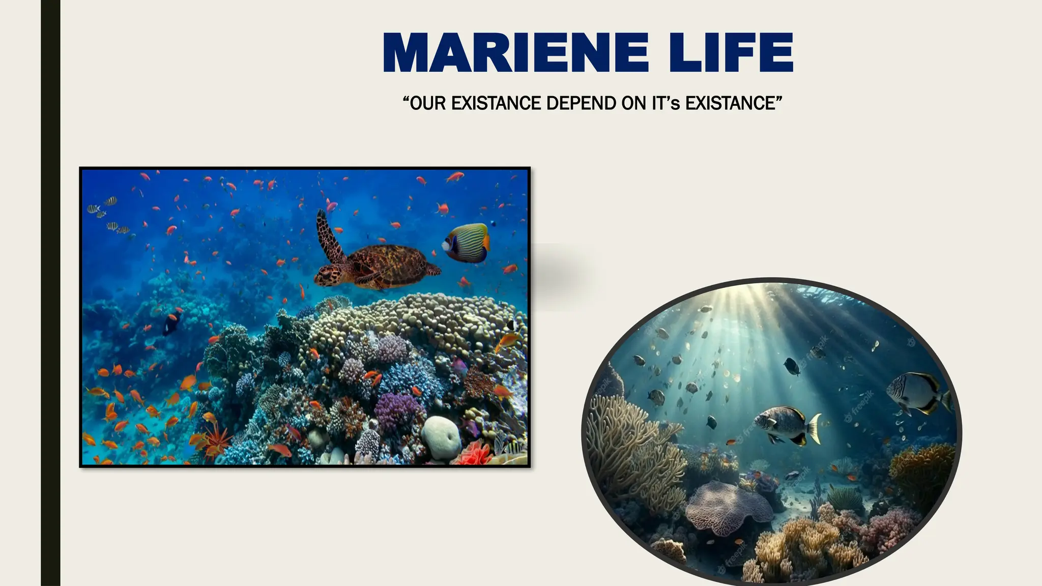 the career Marine biologist presentation | PPTX