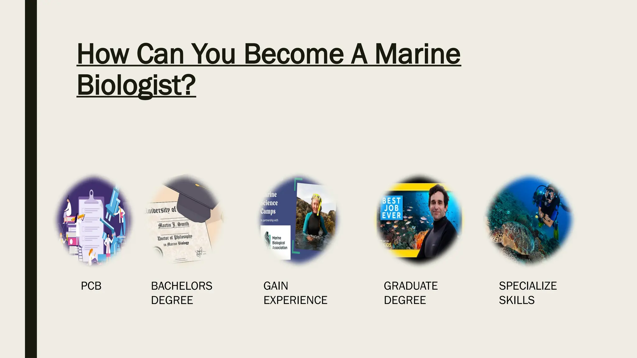 the career Marine biologist presentation | PPTX