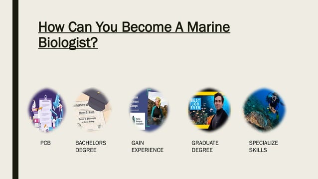 the career Marine biologist presentation | PPTX