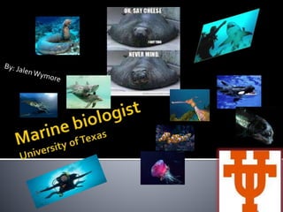 Marine Biologist | PPT