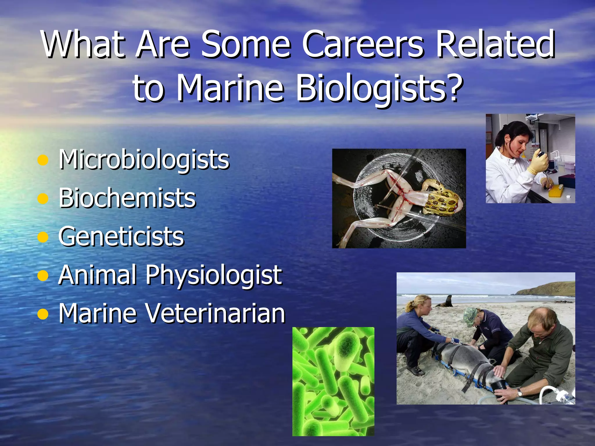 Marine biologist without video power point | PPT