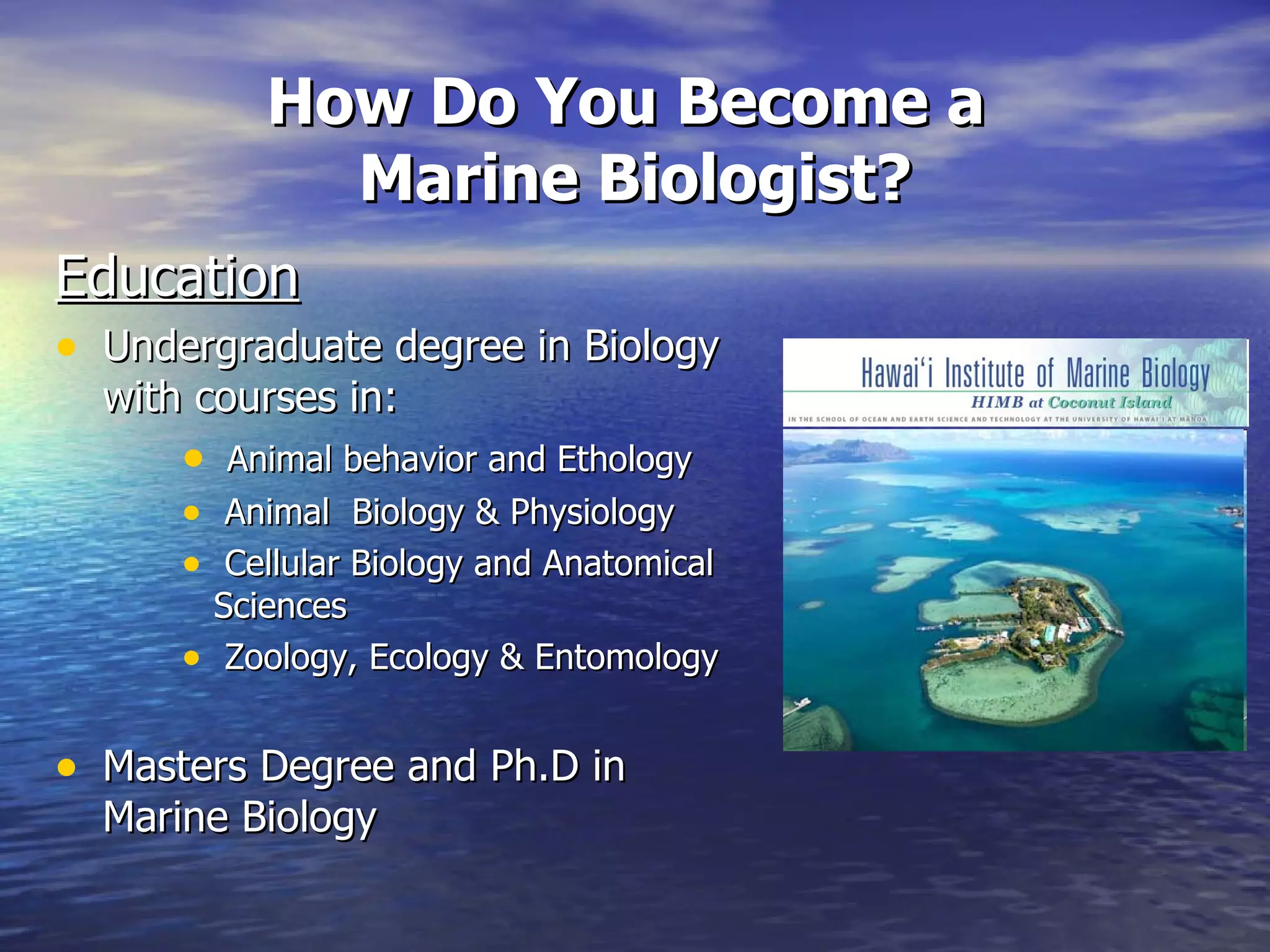 Marine Biologist Without Video Power Point | PPT
