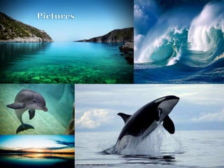 Marine biology | PPTX