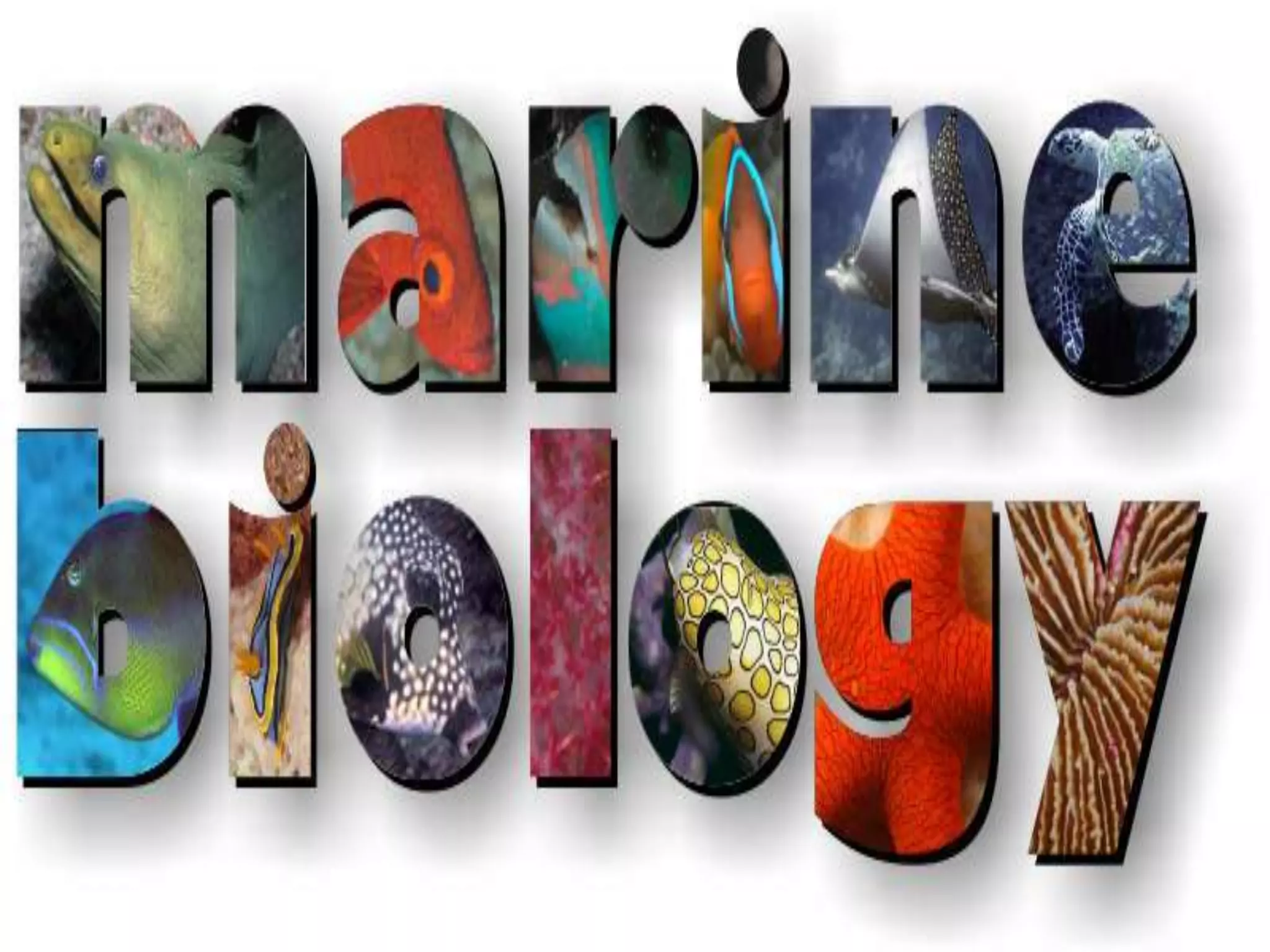 Marine biology | PPTX