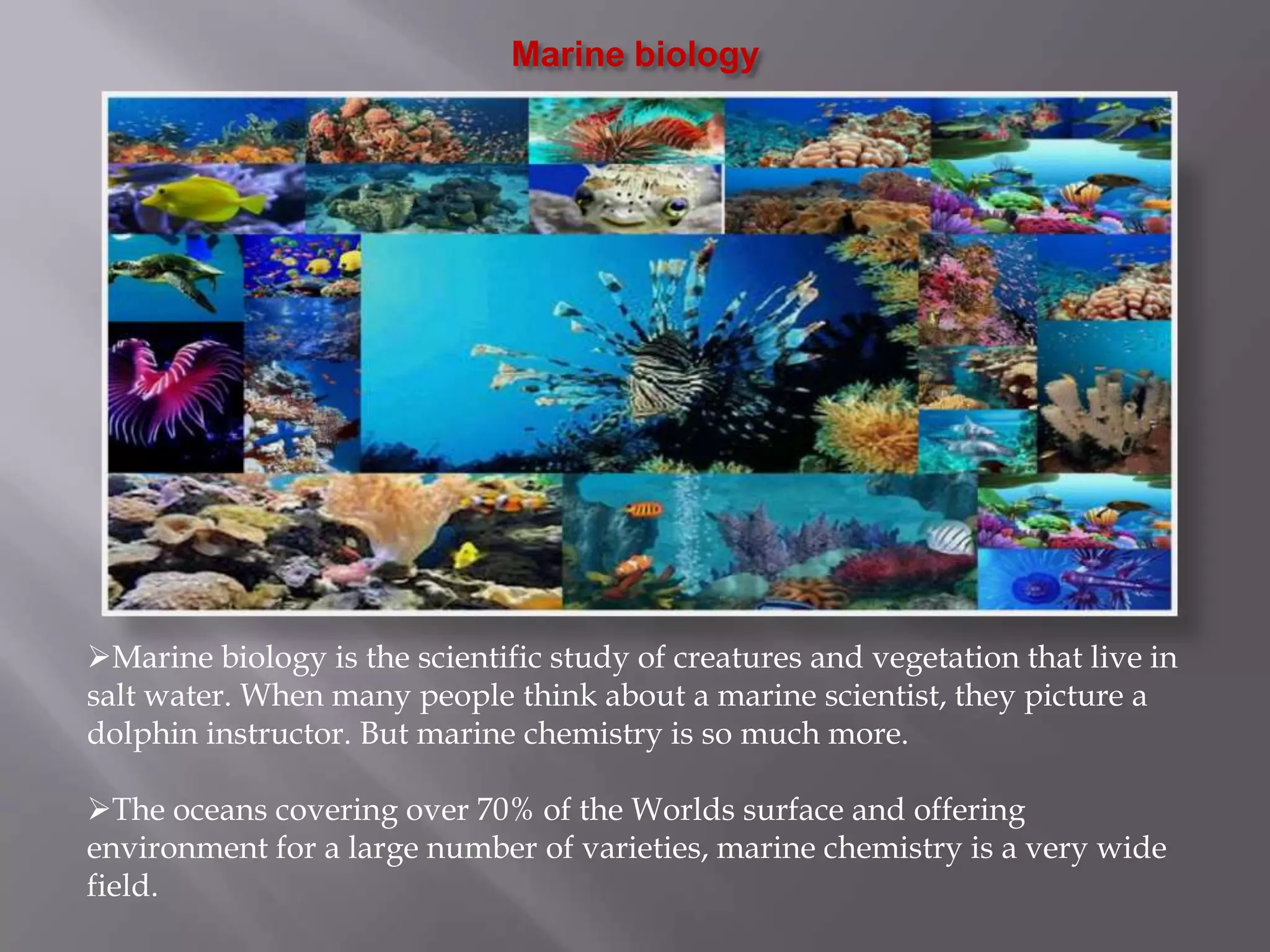 Marine biology | PPTX
