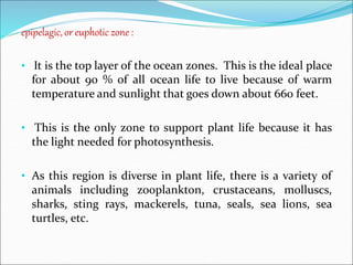 Marine biology.ppt