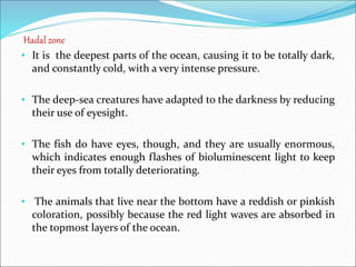 Marine biology.ppt