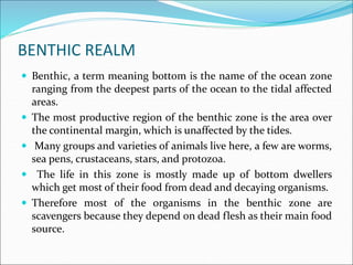Marine biology.ppt