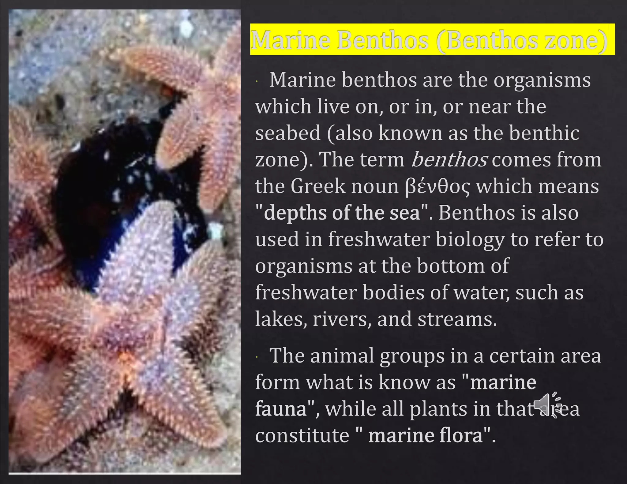 Marine biology |Marine benthos | PPTX