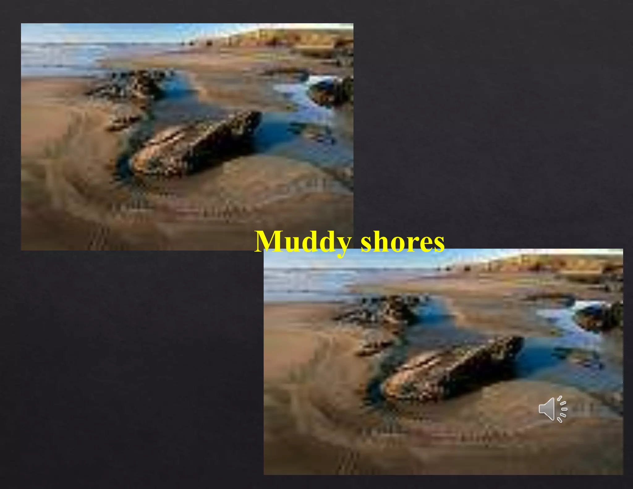 Marine biology |Marine benthos | PPTX