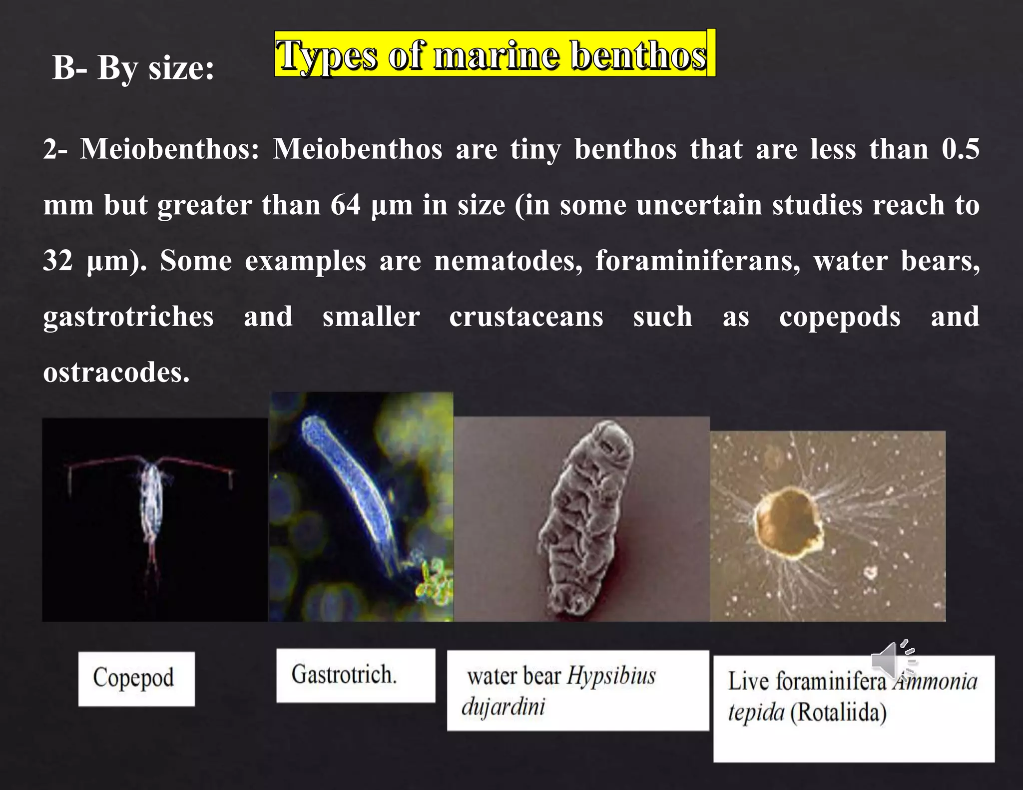 Marine biology |Marine benthos | PPTX