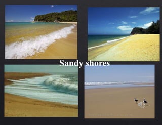 Marine biology |Marine benthos | PPTX
