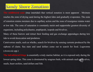 Marine biology |Marine benthos | PPTX
