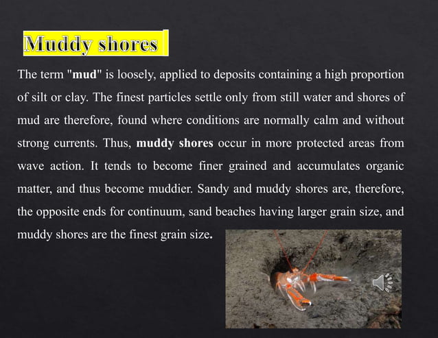 Marine biology |Marine benthos | PPTX