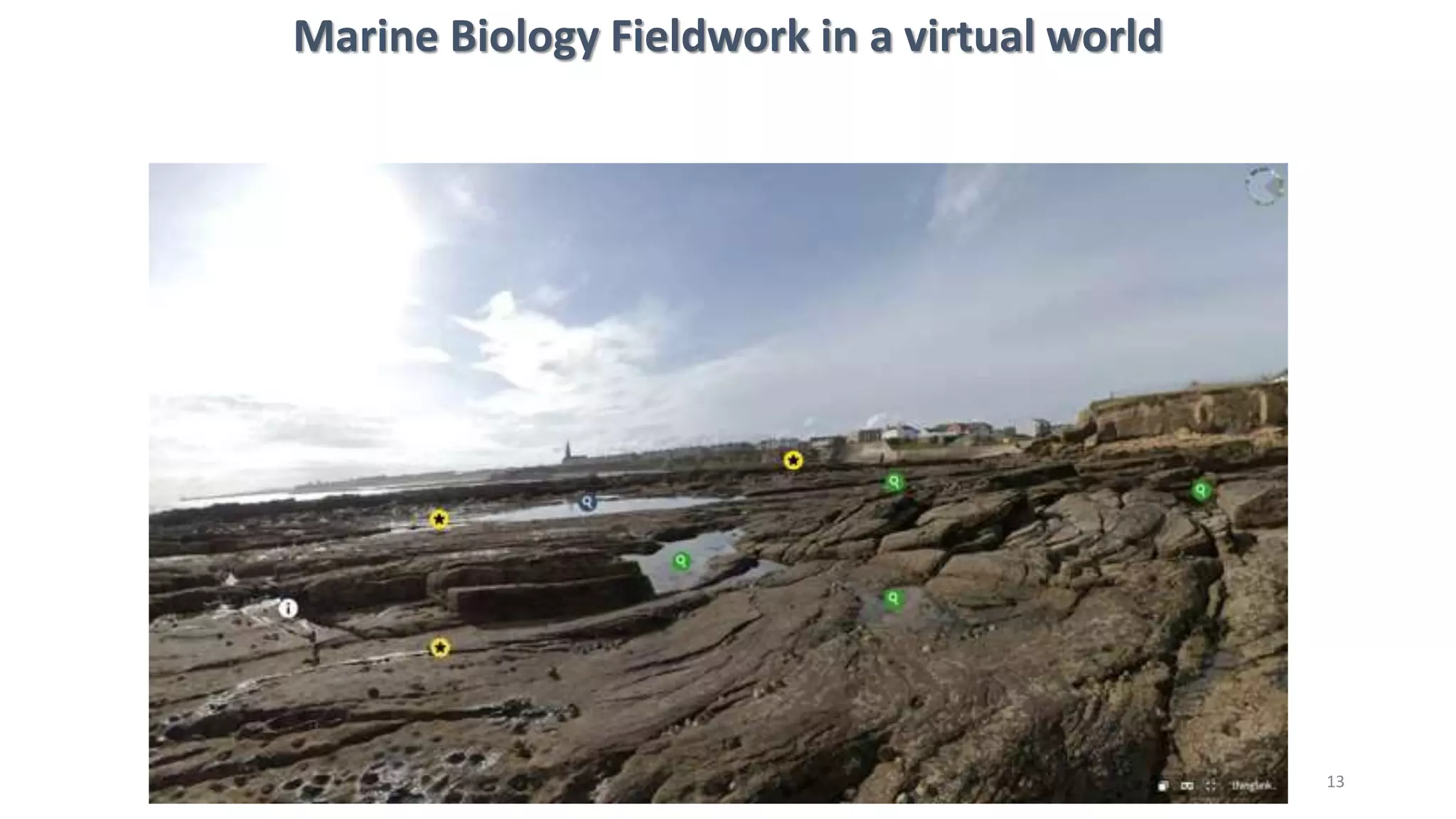 Marine biology fieldwork in a virtual world | PPTX