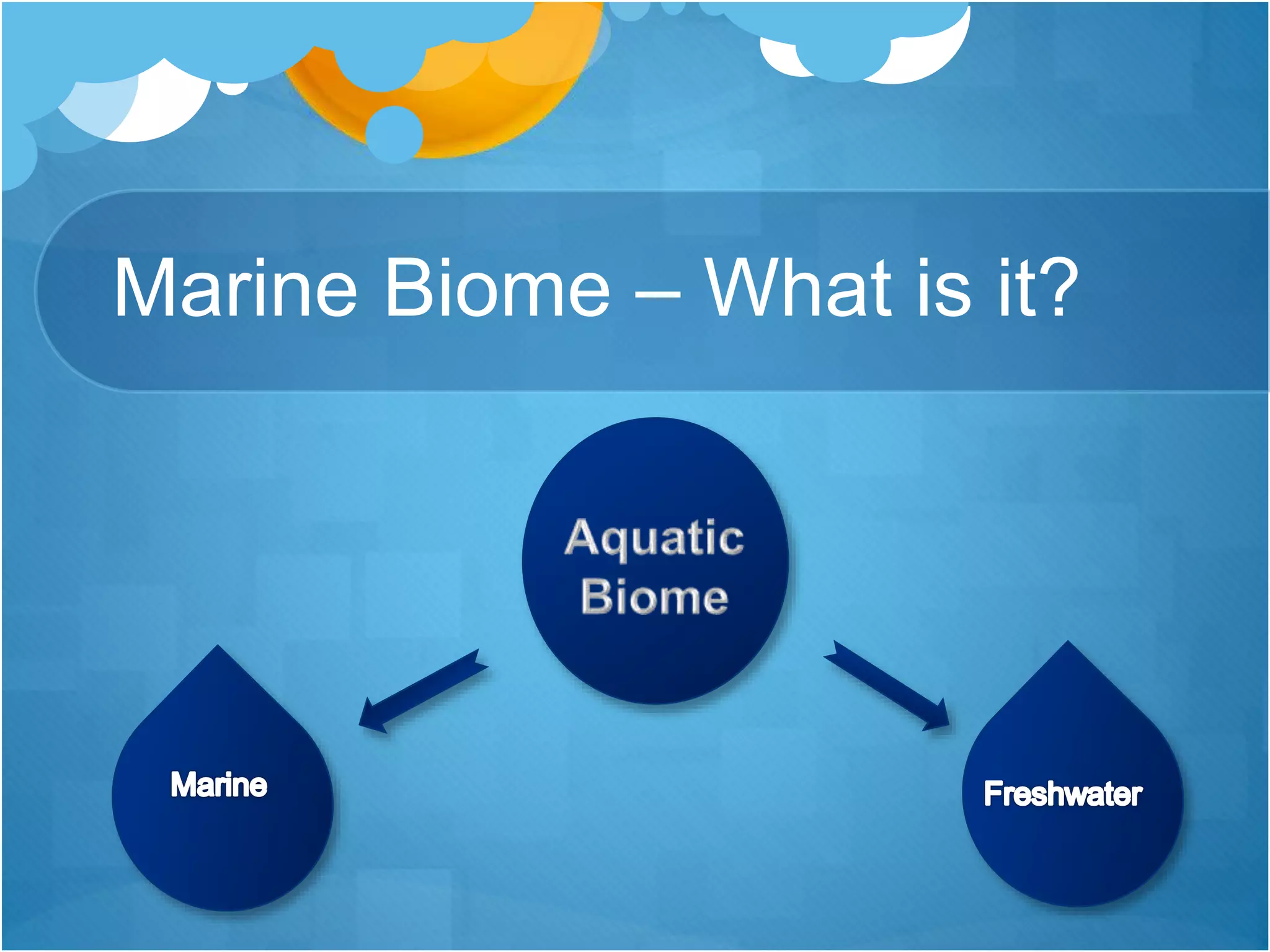 Marine biome | PPTX