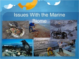 Marine biome | PPTX